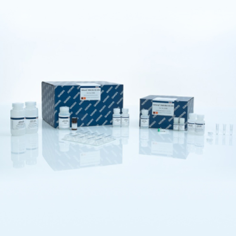 Qubit™ RNA 高灵敏度 (HS)、宽范围 (BR) 和扩展范围 (XR) 检测试剂盒 Q32852 | 苏州瑞诺德生物科技有限公司