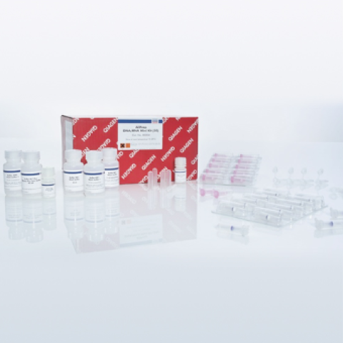 AMPure XP核酸纯化（磁珠法） BECKMAN A63882 | 苏州瑞诺德生物科技有限公司